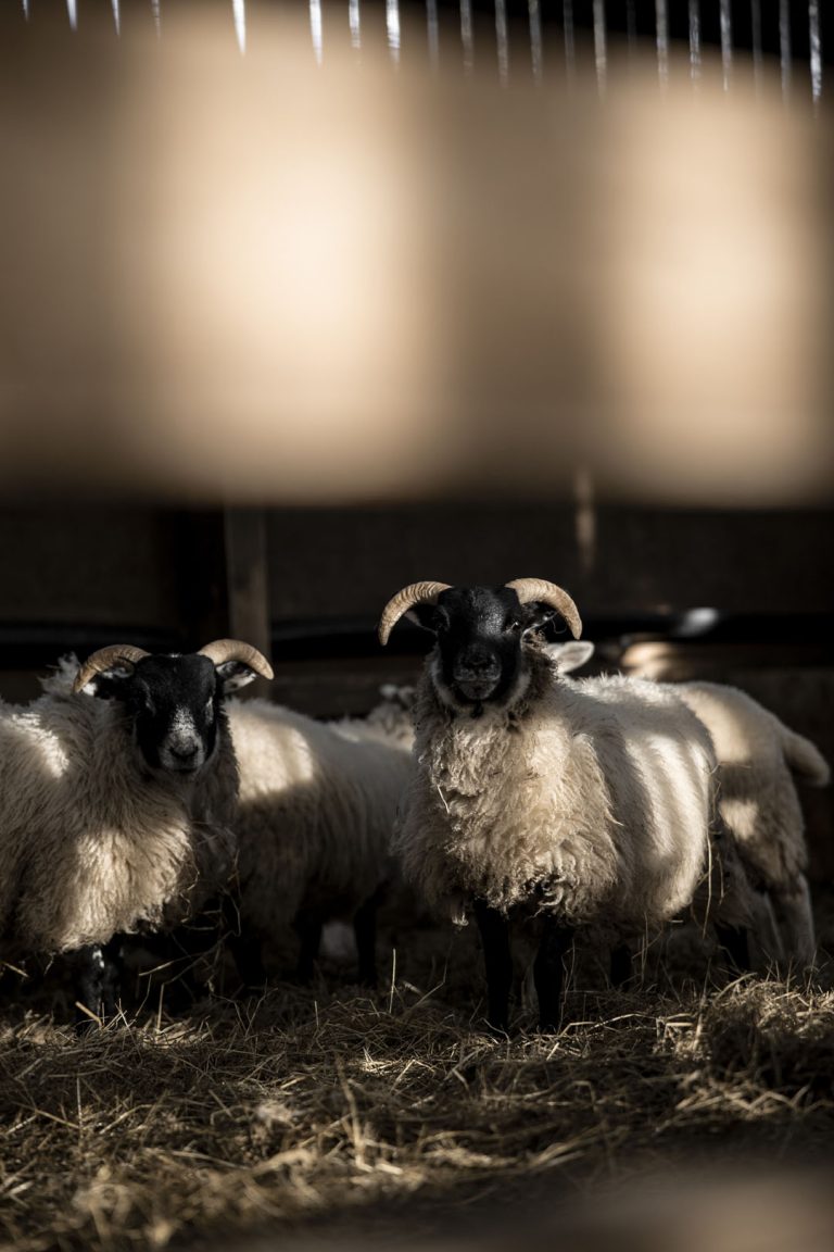 Gallery | Inver Restaurant